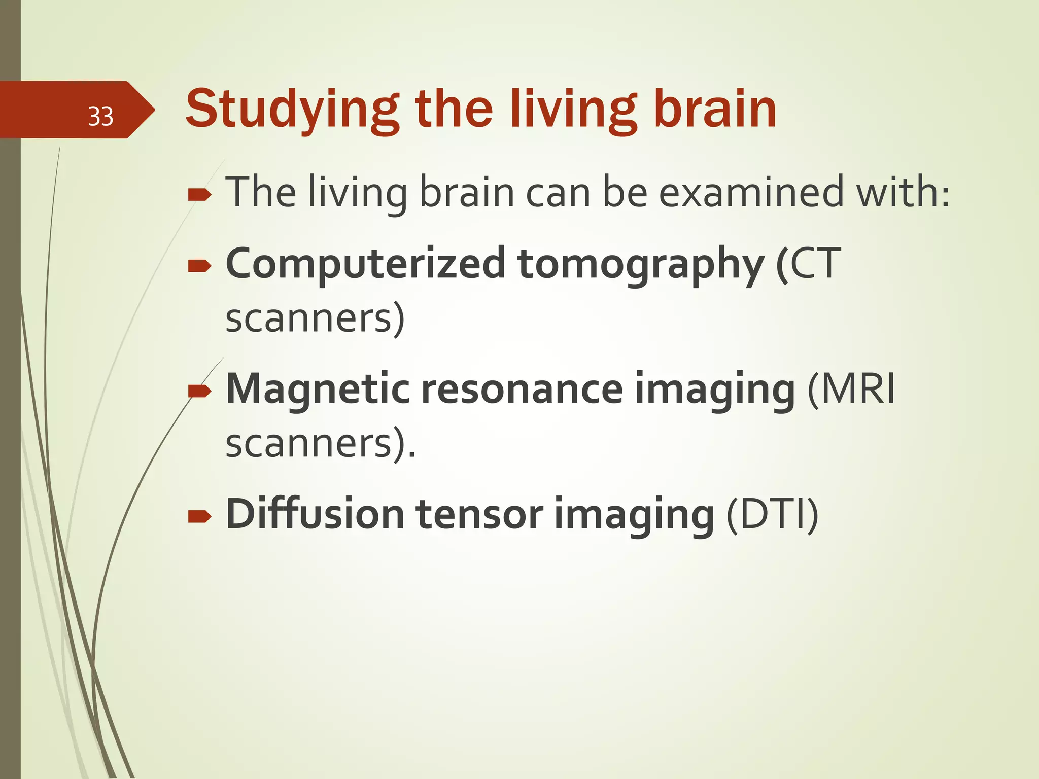Experimental Ablation | PPTX