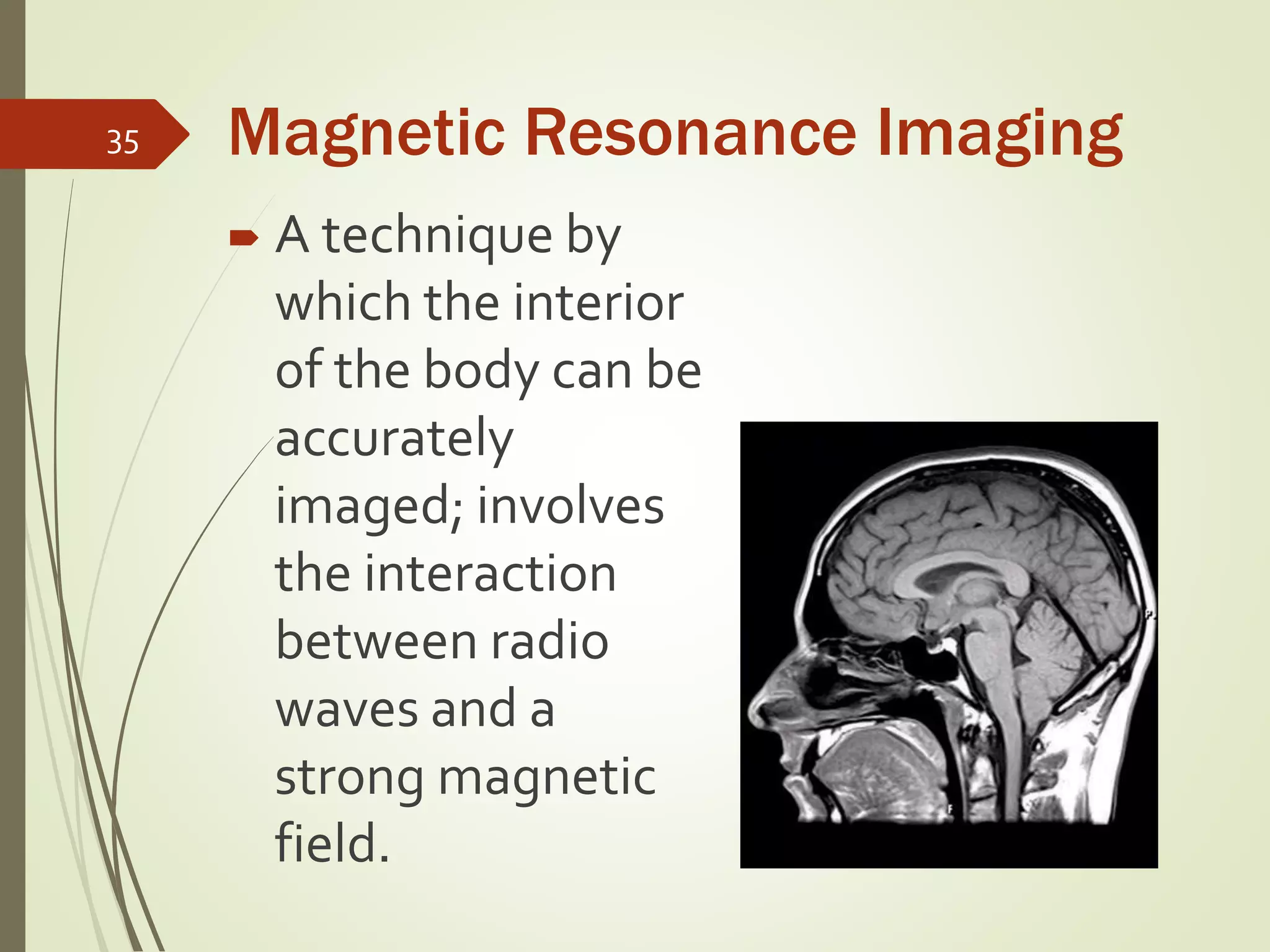 Experimental Ablation | PPTX