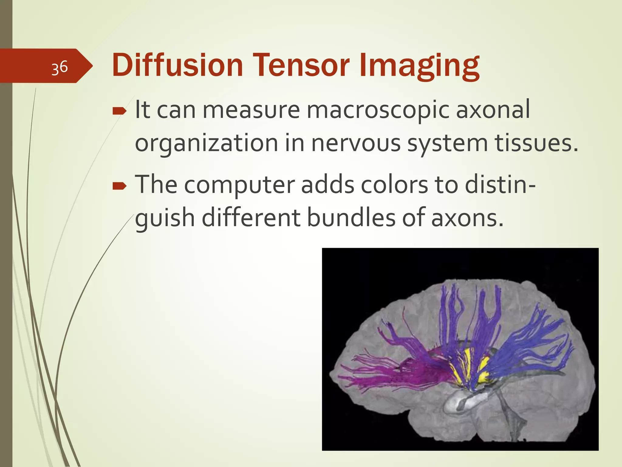 Experimental Ablation | PPTX