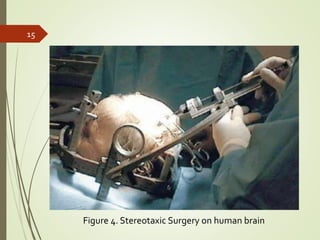 Experimental Ablation | PPTX