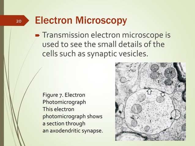 Experimental Ablation | PPTX
