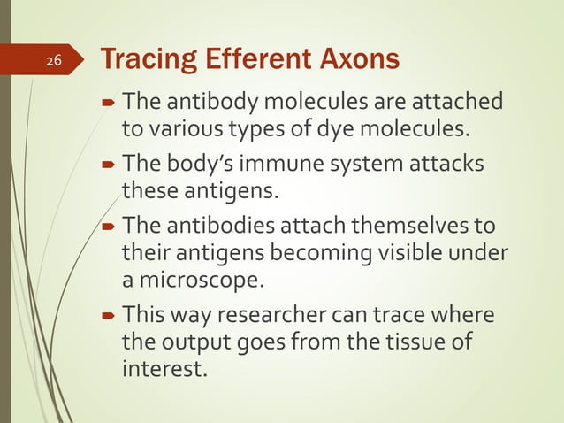 Experimental Ablation | PPTX