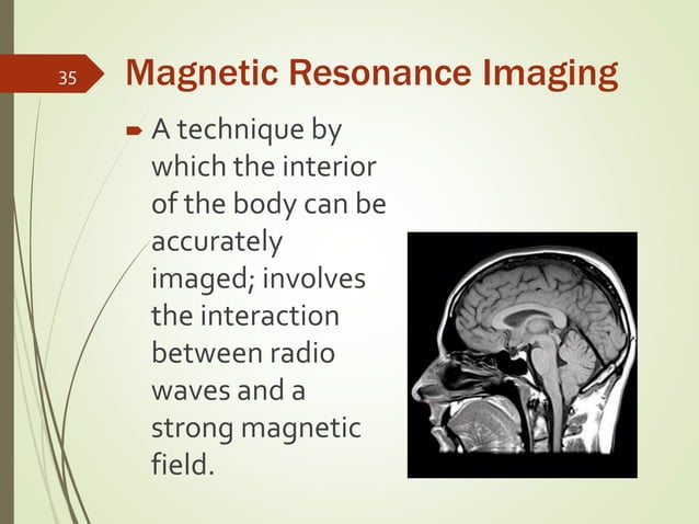 Experimental Ablation | PPTX