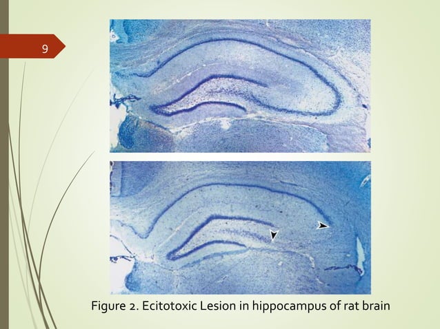 Experimental Ablation | PPTX