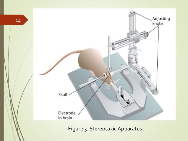Experimental Ablation