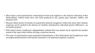 Experimental animal models | PPTX