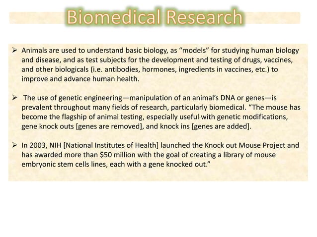 Experimental animal models ( lab animals ) | PPT