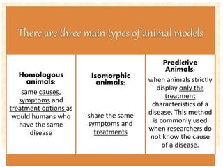 Experimental animal models ( lab animals ) | PPT