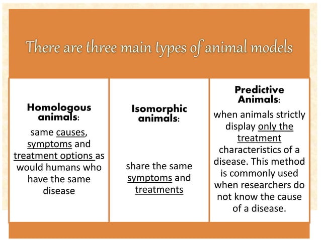 Experimental animal models ( lab animals ) | PPT