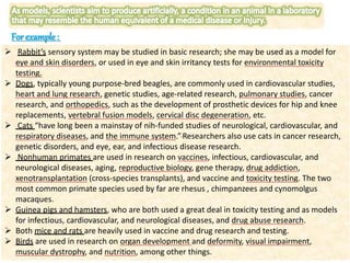 Experimental animal models ( lab animals ) | PPT