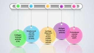 Experimental animal models of rheumatoid arthritis. | PPTX