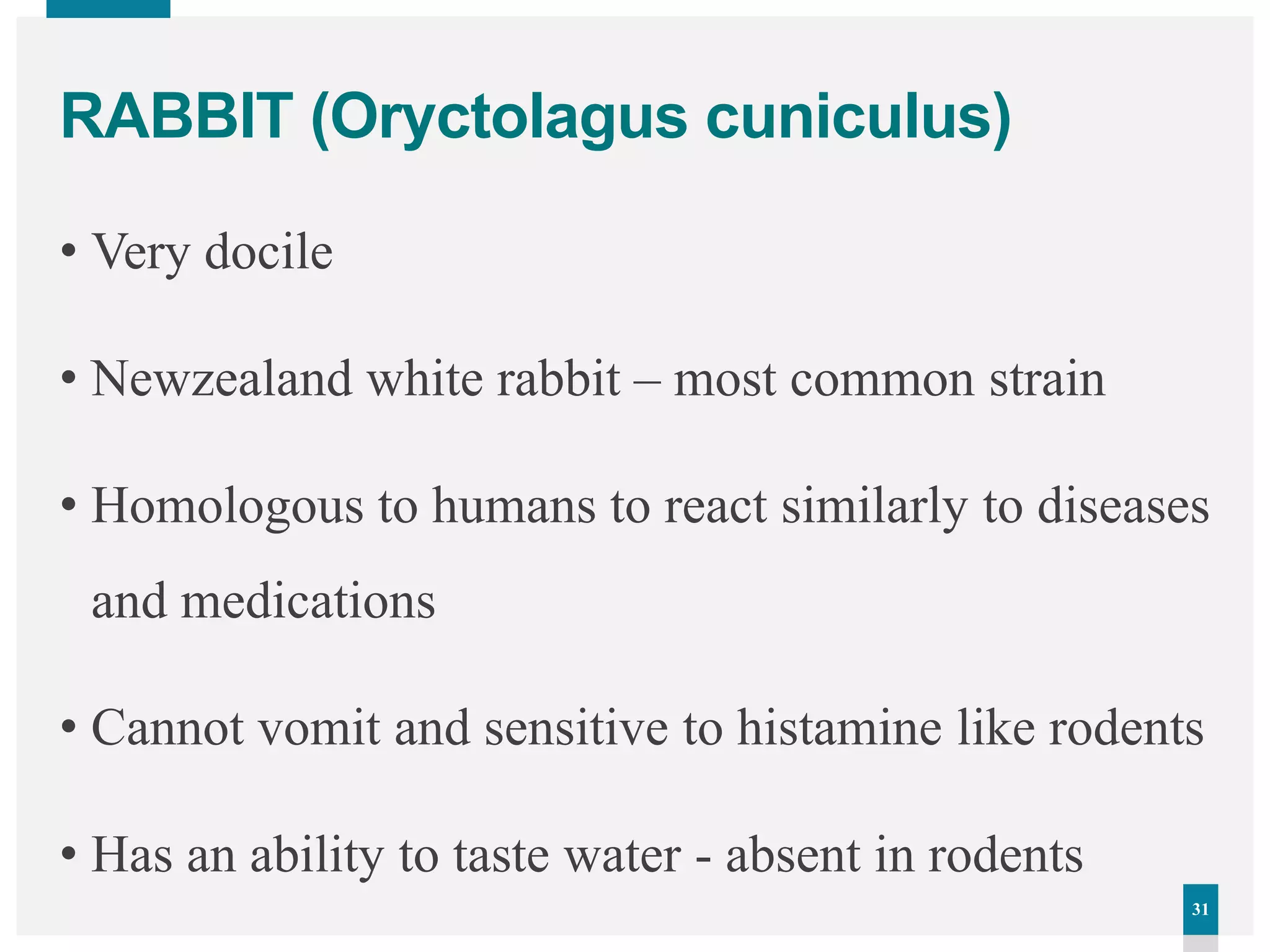Experimental animals | PPTX