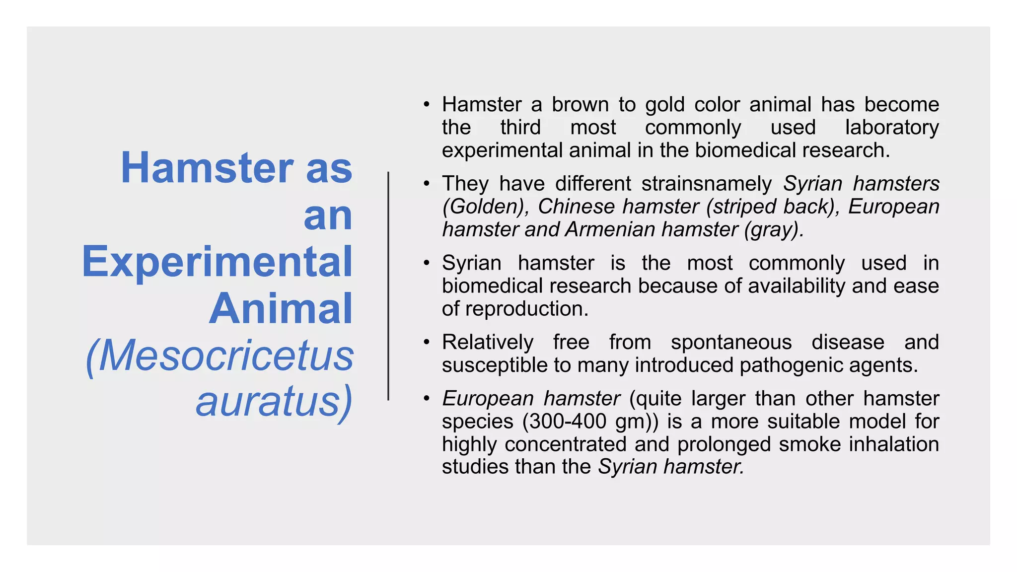 ANIMALS USED IN PHARMACOLOGICAL EXPERIMENTS | PPTX