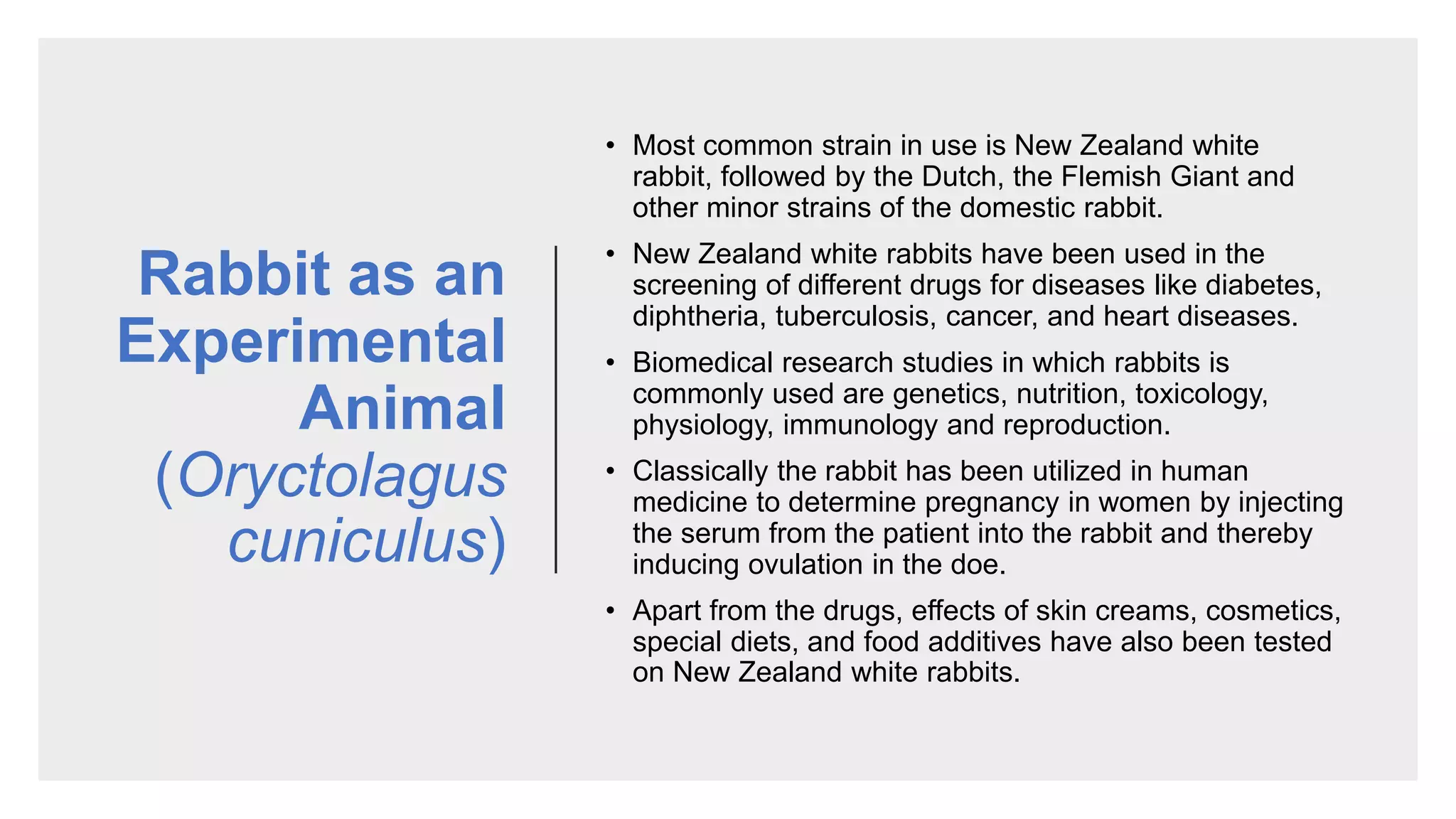 ANIMALS USED IN PHARMACOLOGICAL EXPERIMENTS | PPTX
