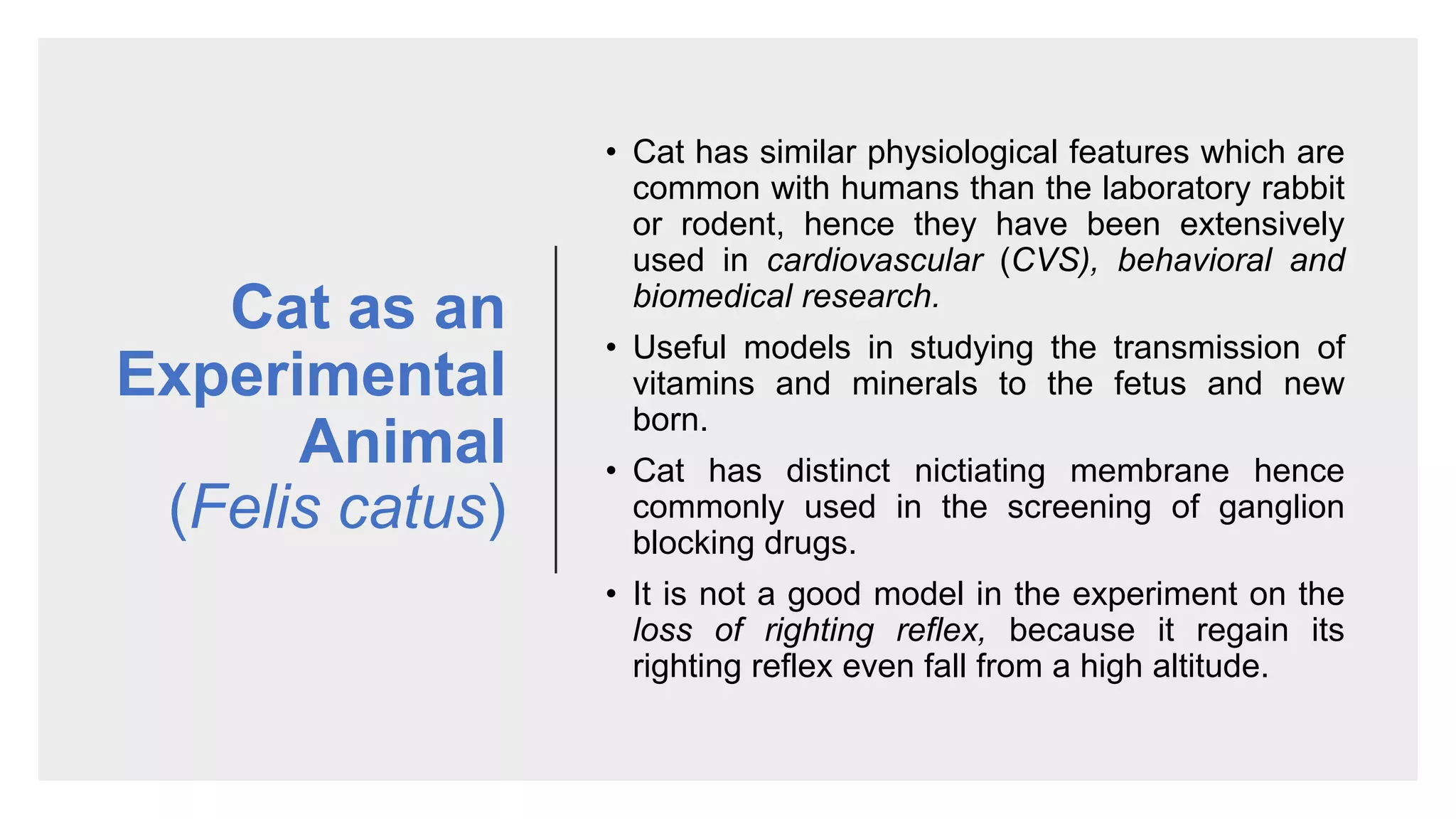 ANIMALS USED IN PHARMACOLOGICAL EXPERIMENTS | PPTX
