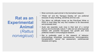 ANIMALS USED IN PHARMACOLOGICAL EXPERIMENTS | PPTX