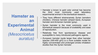 ANIMALS USED IN PHARMACOLOGICAL EXPERIMENTS | PPTX