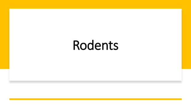 ANIMALS USED IN PHARMACOLOGICAL EXPERIMENTS | PPTX | Genetics | Science