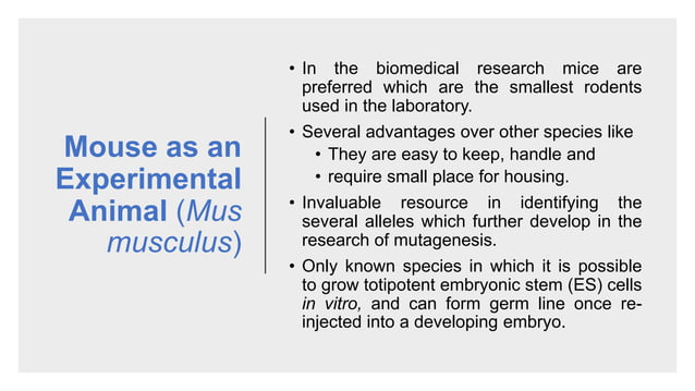 ANIMALS USED IN PHARMACOLOGICAL EXPERIMENTS | PPTX | Genetics | Science