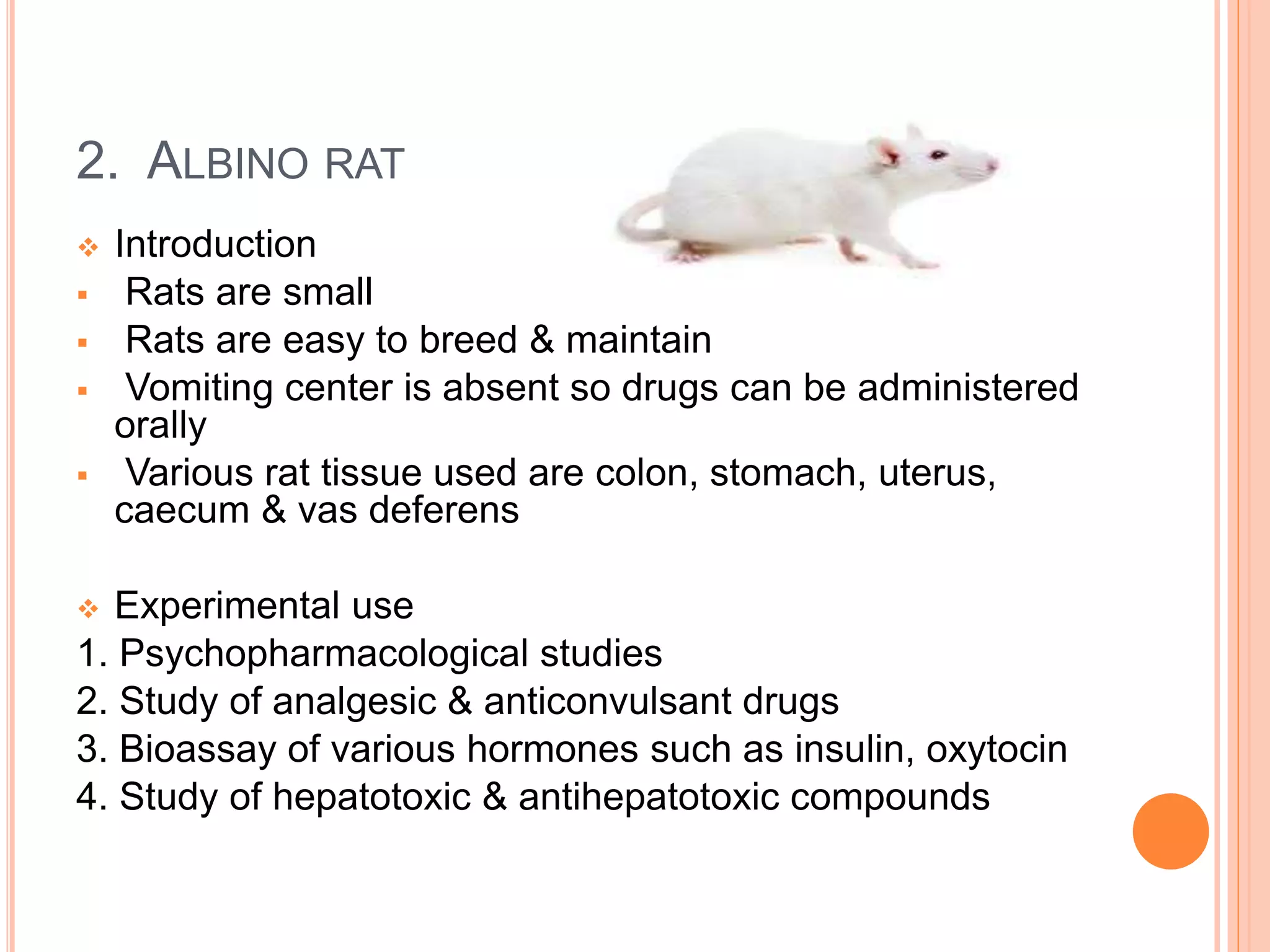 Experimental animals used in pharmacology | PPTX