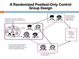 Control Group Biology Example