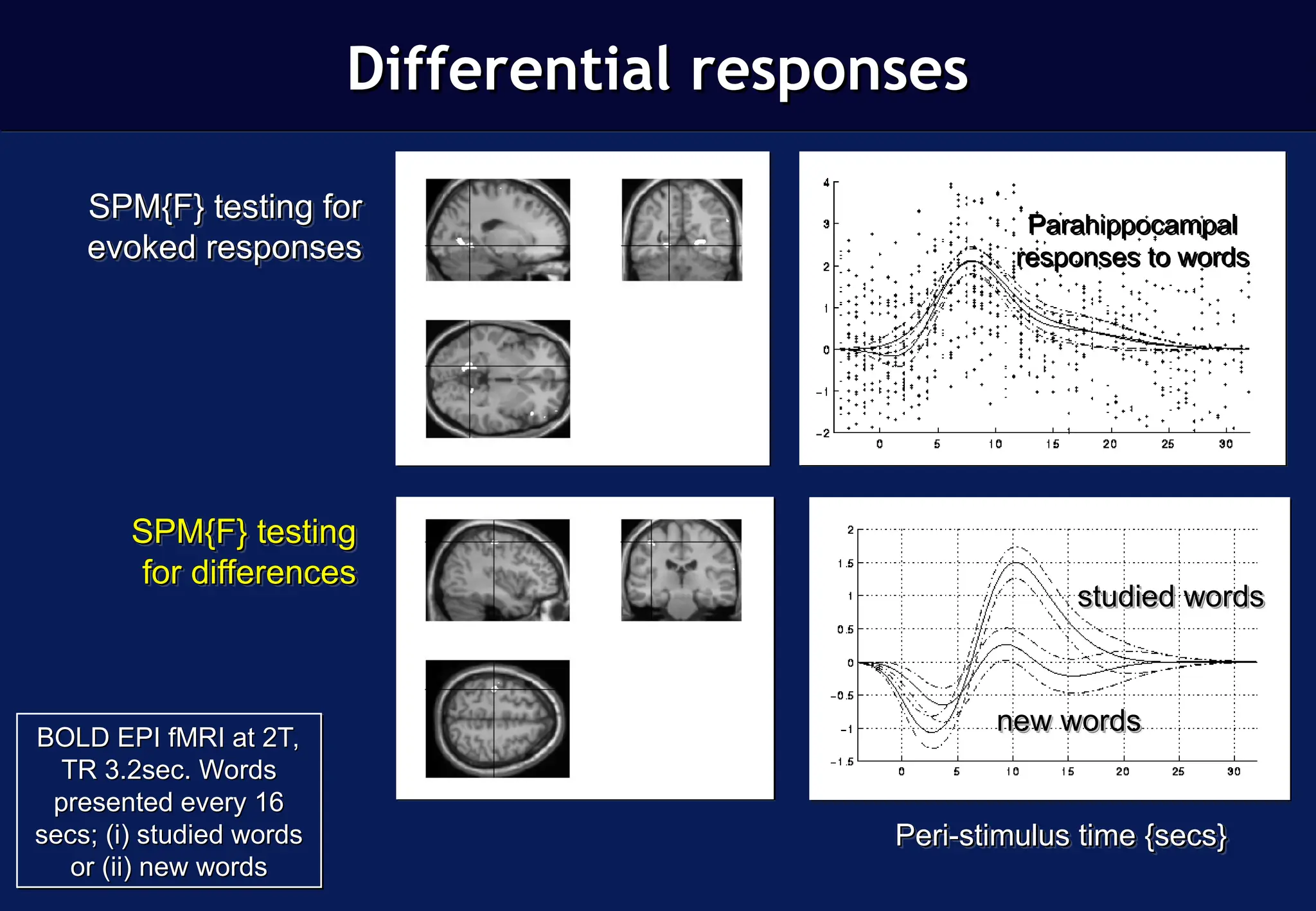 Experimental_design.ppt ppt on neurons functioning into facial ...