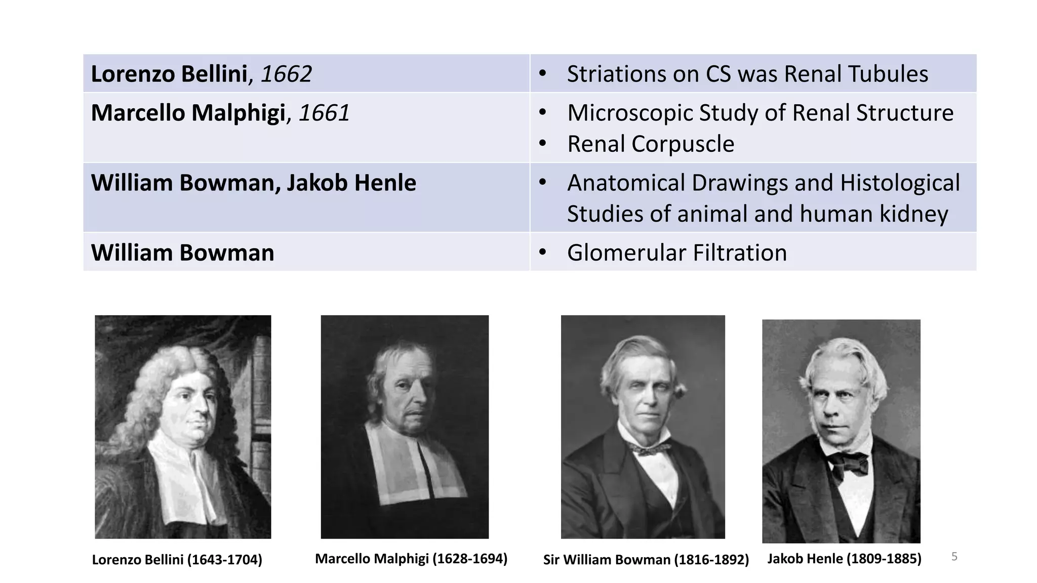 Experimental evidences for Renal Tubular Function | PPTX | Chemistry ...