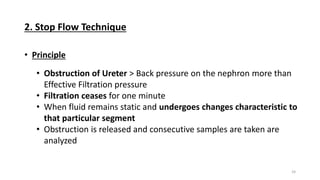 Experimental evidences for Renal Tubular Function | PPT
