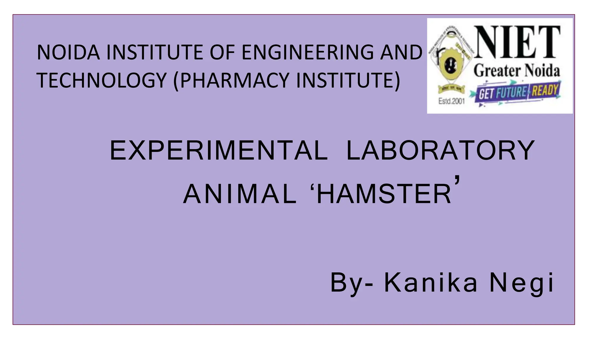 Presentation on experimental laboratory animal- Hamster | PPTX