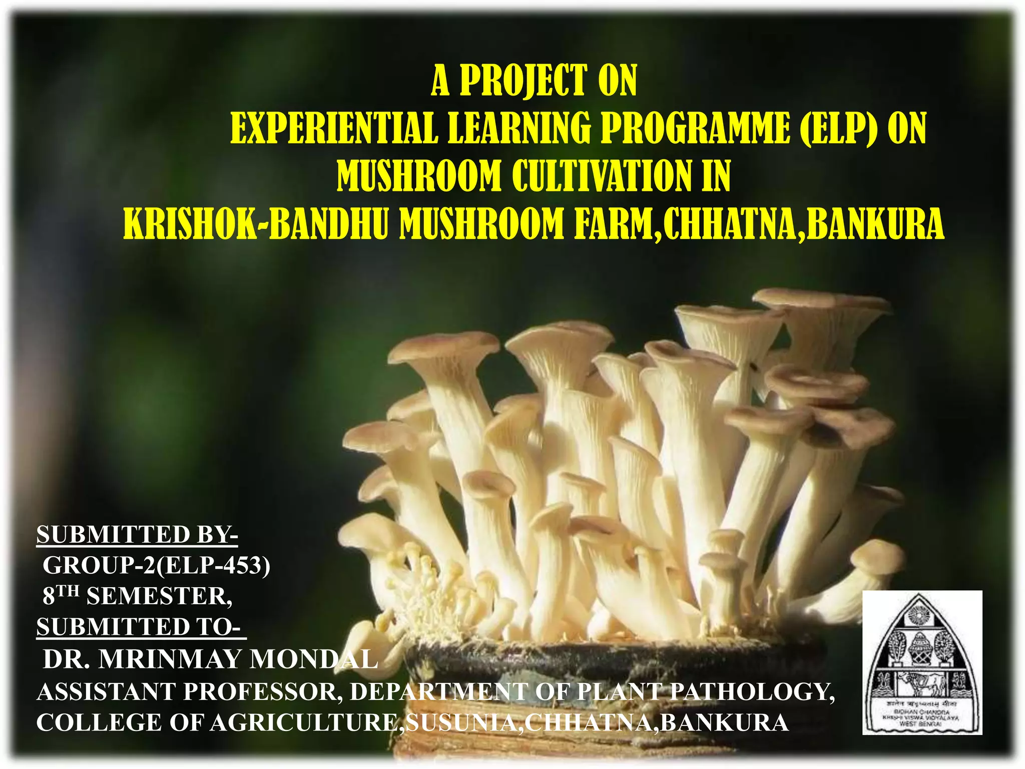 Experimental Learning Programme (ELP) on Mushroom Cultivation | PDF