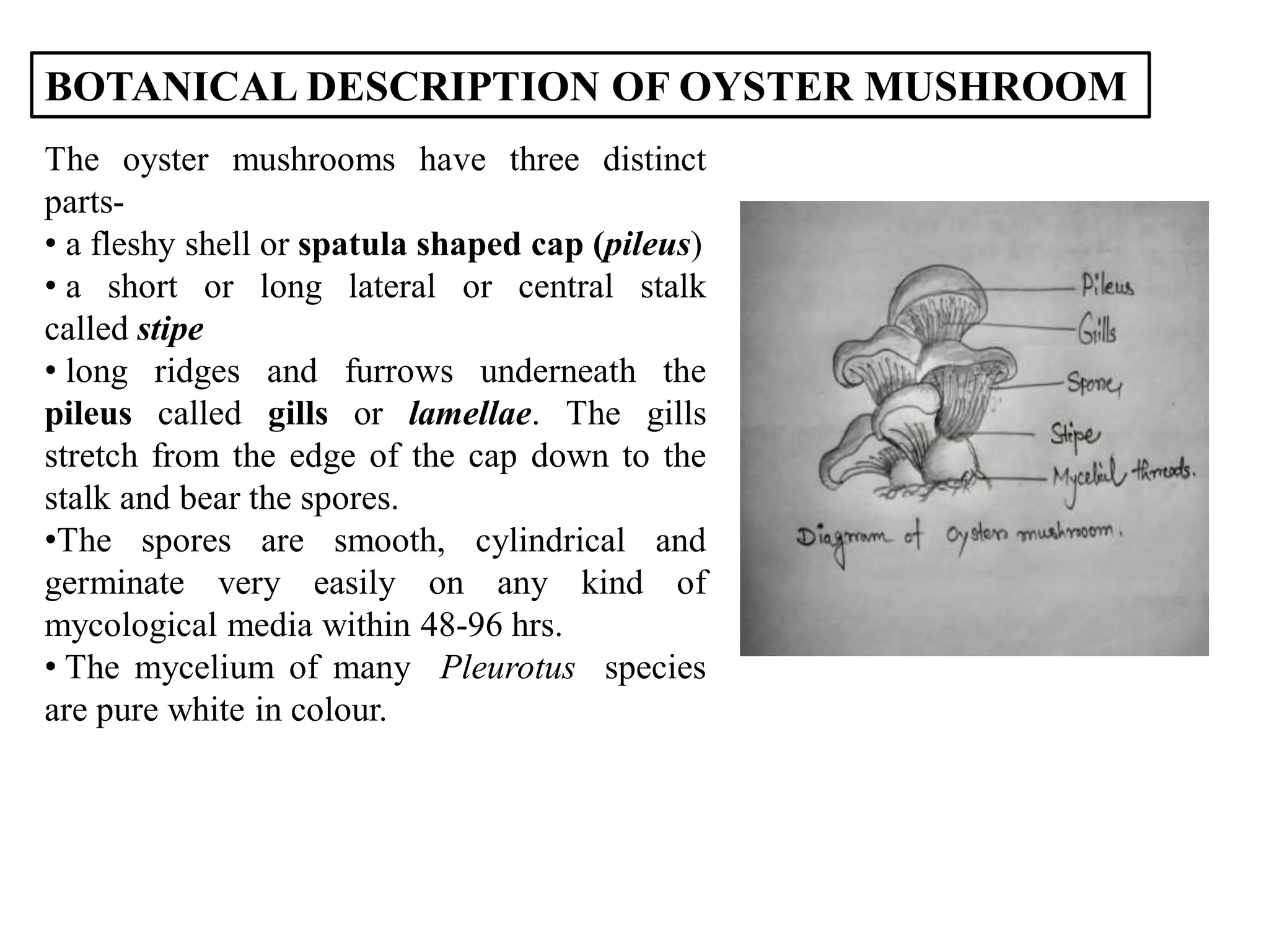 Experimental Learning Programme (ELP) on Mushroom Cultivation | PDF
