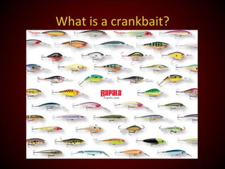 Experimental Measurement Of Fishing Lure Motion | PPT