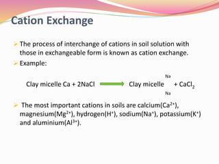 Experimental methods to study ion exchange phenomena and | PPTX