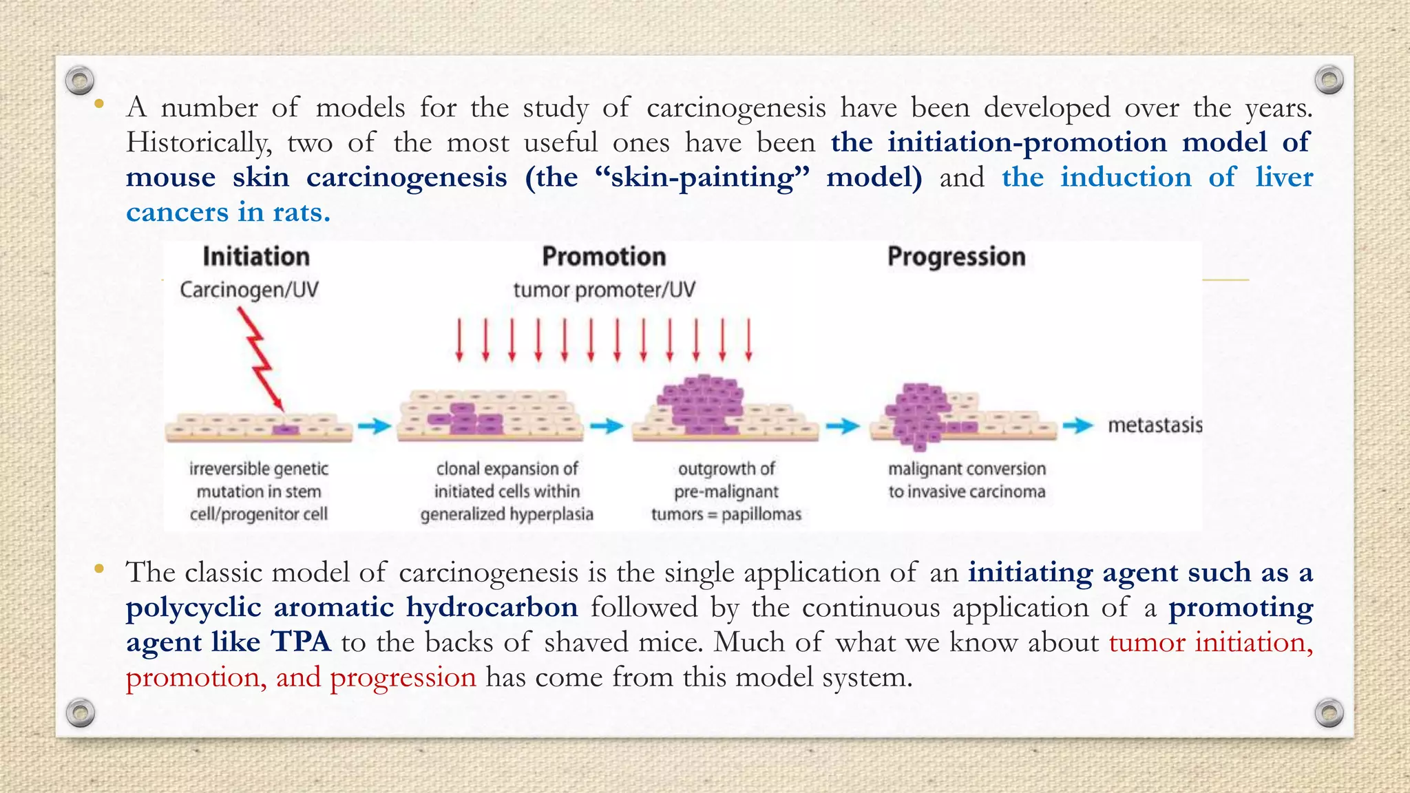 Experimental model for the study of carcinogenensis | PPTX