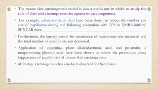 Experimental model for the study of carcinogenensis | PPTX