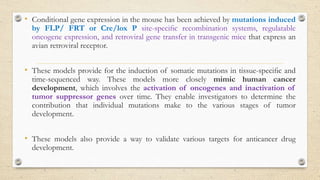 Experimental model for the study of carcinogenensis | PPTX