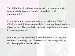 Experimental models of glomerulonephritis | PPSX