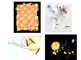 Experimental photography | PPT