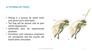 Experimental Physiology Introduction | PPT