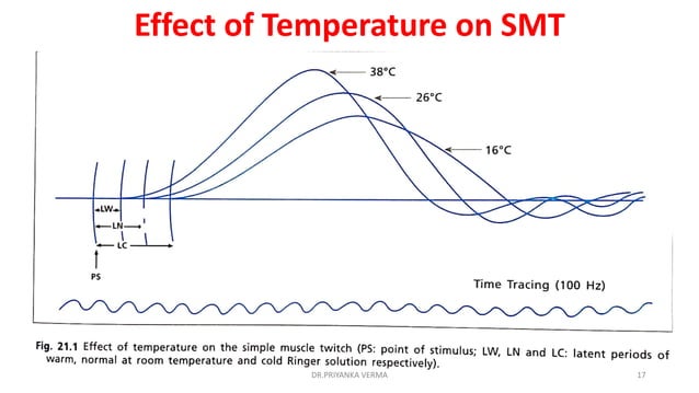 EXPERIMENTAL PHYSIOLOGY NERVE MUSCLE GRAPH.pdf