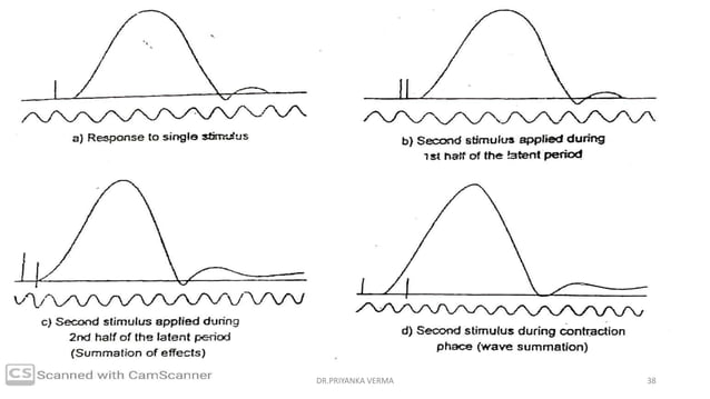 EXPERIMENTAL PHYSIOLOGY NERVE MUSCLE GRAPH.pdf