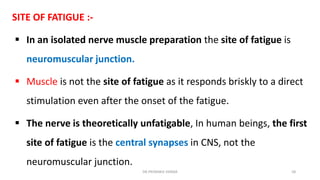 EXPERIMENTAL PHYSIOLOGY NERVE MUSCLE GRAPH.pdf