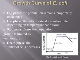 BIOMED Engineering Experimental proposal for growth E.coli