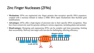 Experimental Techniques and Limitations of CRISPR and Gene.pptx ...