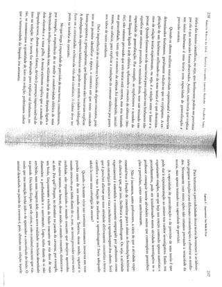 Experimentar Sem Medo De Errar Pdf