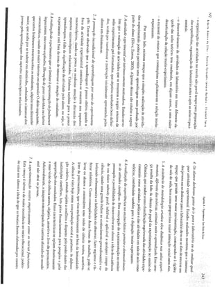 Experimentar Sem Medo De Errar Pdf