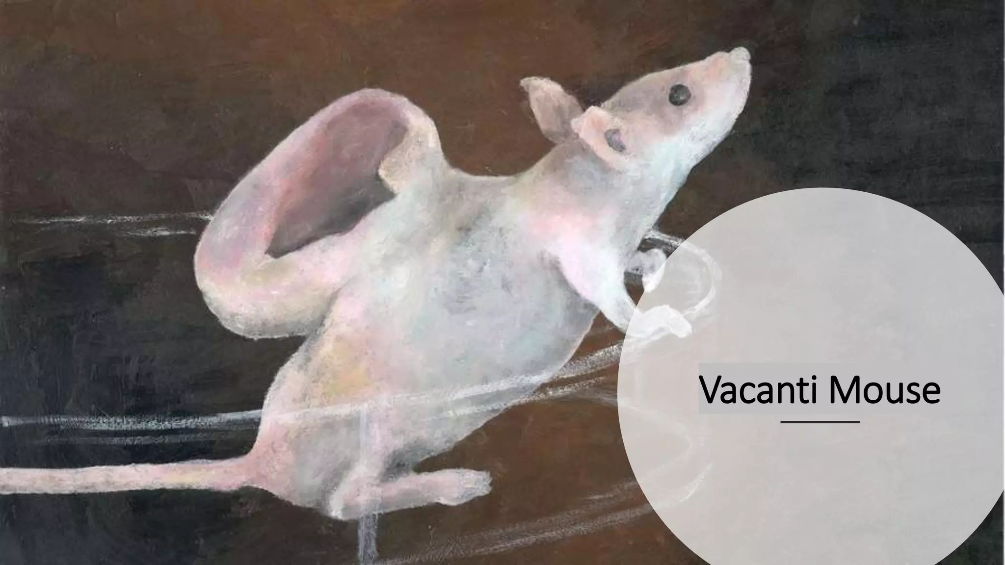 Experimentation on animals | PPTX