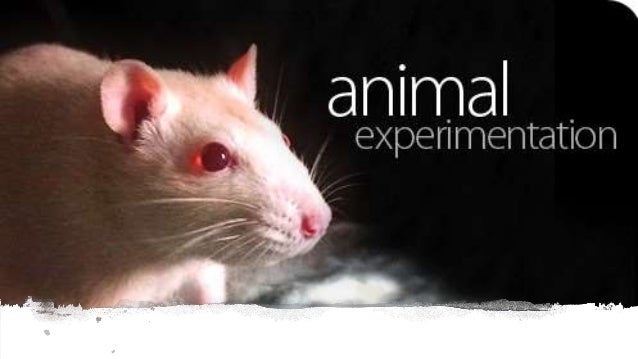 Experimentation on animals
