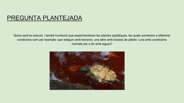 Experiment biologia | PPT