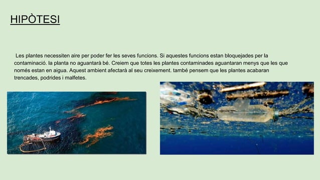 Experiment biologia | PPT